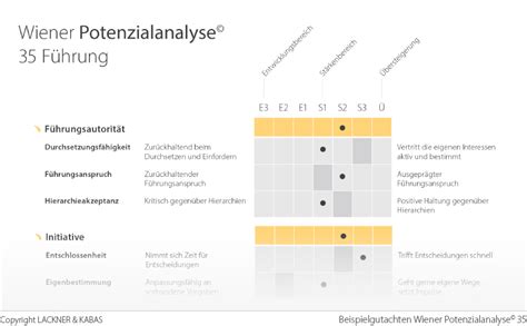 Wiener Potenzialanalyse© Management Assessments Psychologie
