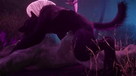 Gay Furry Synth Lovers Lion And Wolf Wild Life Furries Free Porn Videos Youporngay