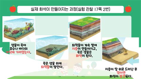 천재4학년 1학기 2단원지층과 화석7차시화석이 만들어지는 과정수업용 Ppt영상자료포함 아꿈선