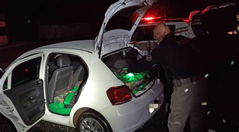 Prf E Pmsc Apreendem 250 Kg De Maconha Na Br 101 Em Garuva — Polícia