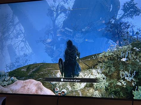 Ive Never Been Here Before This Place Looks So Cool Its A Literal Damn Tree Haha R Eldenring