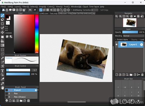Medibang Paint Pro Screenshots