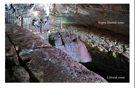 Figure 1 From Light As A Limiting Factor For Epilithic Algae In The
