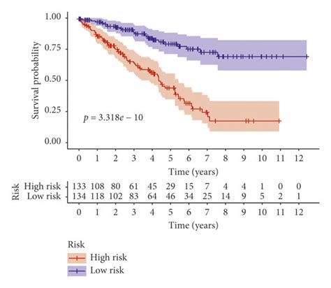 Risk Score Analysis Of The Nine Gene Prognostic Model In The Tcga