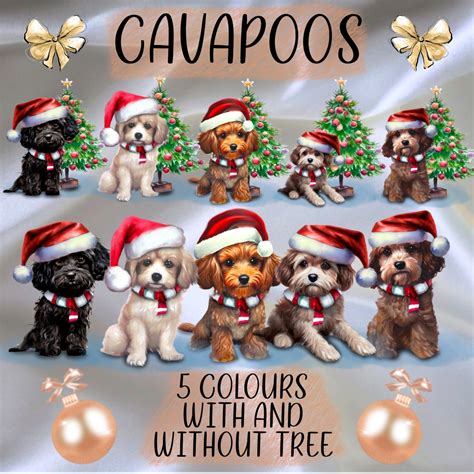 Cute Christmas Cavapoo Pngs 5 Cockapoos With Hat And Scarf On Their