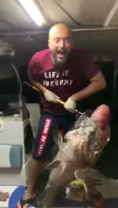 توين هامور ٢٤ كيلو صيد من مستوره أبو سناره جدة بحر سمك هامور مستورة البحرالاحمر ترند