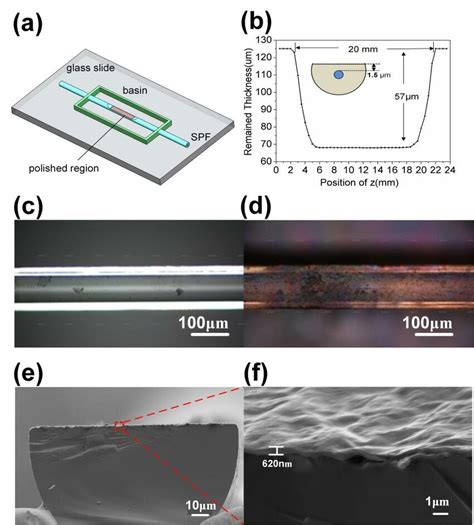 A Three Dimension Schematic Of The Basin Used In Deposition Of Go And Download Scientific