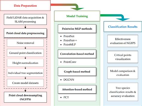 An Overview Of The Workflow For Individual Tree Point Cloud Based Tree