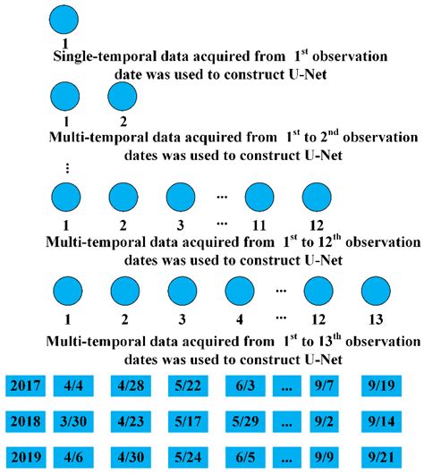 Remote Sensing Free Full Text Rice Mapping In Training Sample