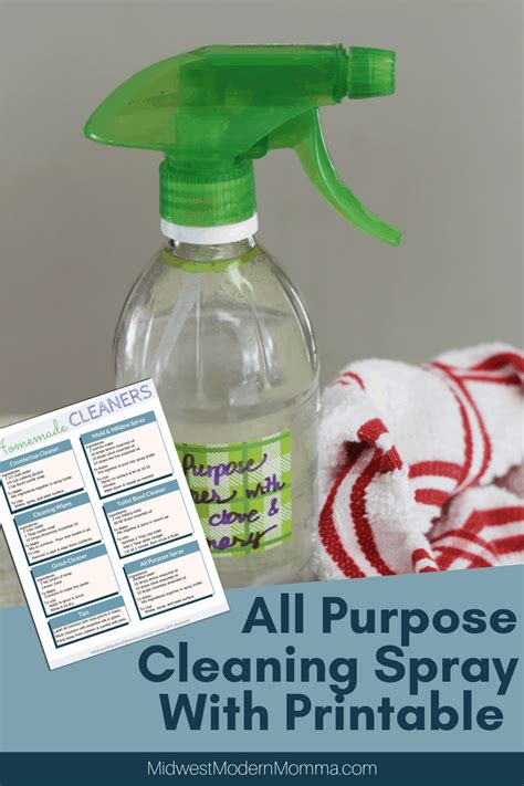 Homemade Cleaners All Purpose Cleaning Spray
