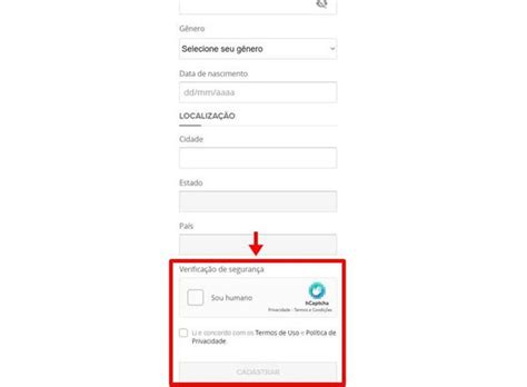 Grêmio X Palmeiras Ao Vivo Onde Assistir Ao Jogo Do Brasileirão Online