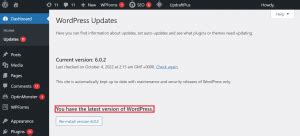 How To Change PHP Version Of A Website Without Breaking It