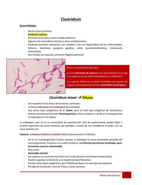 Genero Clostridium José Alejandro Chirinos Agatón Udocz