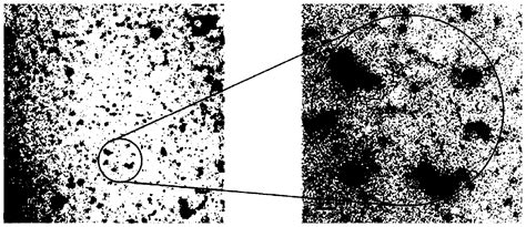 Protein Polyphenol Complex As Well As Preparation Method And Application Thereof Eureka Patsnap