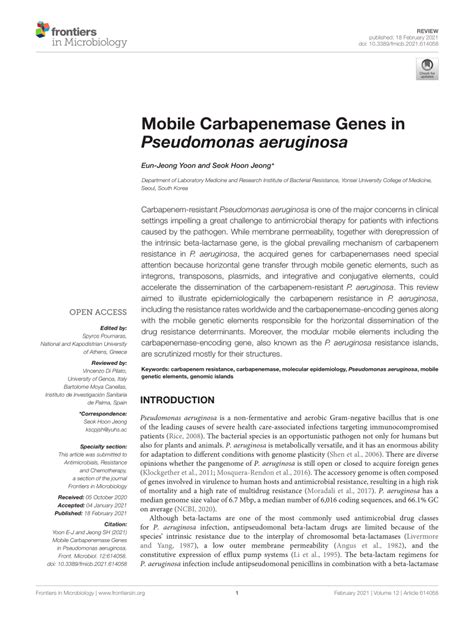 Pdf Mobile Carbapenemase Genes In Pseudomonas Aeruginosa