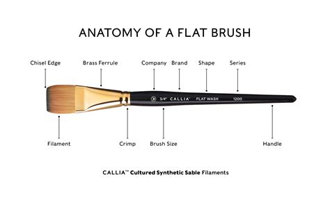 What Is A Flat Wash Brush At Jeffrey Mesa Blog