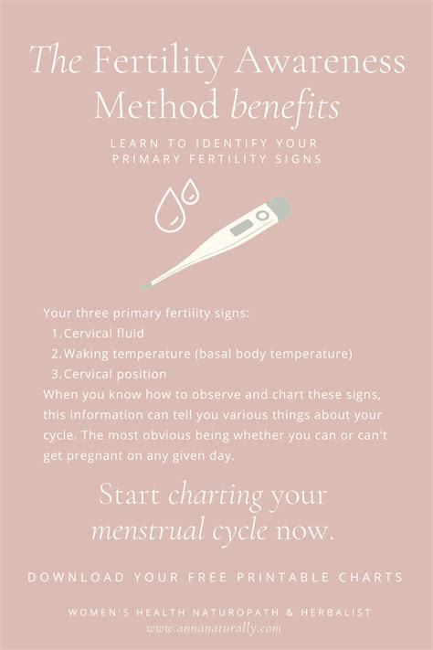 Fertility Chart Fertility Tracker Menstrual Cycle Chart Cycle