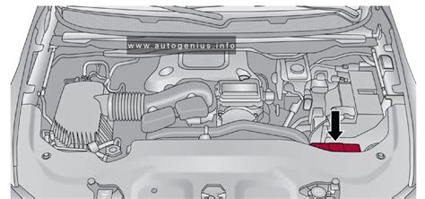 Grand Auto Genius
