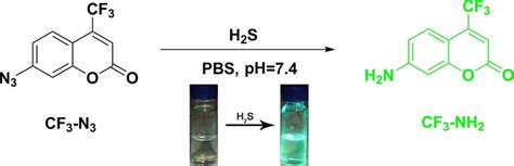 A High‐sensitivity Coumarin‐based Fluorescent Probe For Monitoring Hydrogen Sulfide In Living