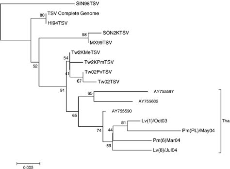 The Phylogenetic Analysis Of The Partial Vp1 Gene Sequences Using The
