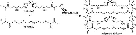 Formation Of A Crosslinked Polymer By Polymerization Of Bis Gma Tegdma