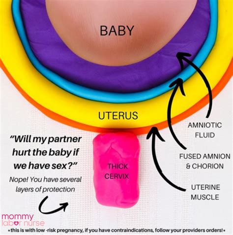 Sex During Pregnancy