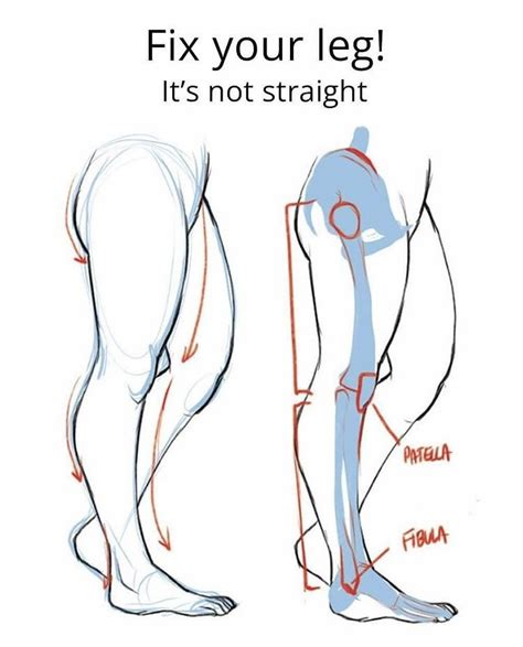 Drawing Female Body Tips And Techniques For Ood Proportions Artofit