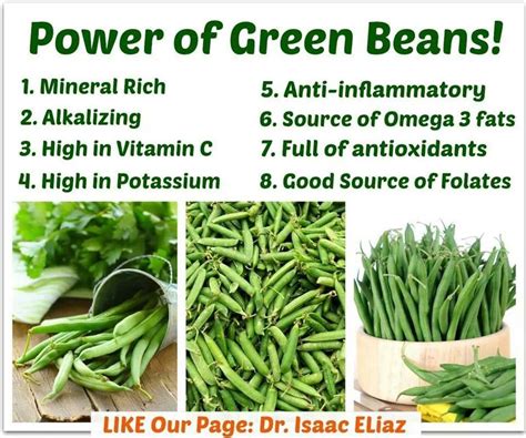 Fresh Green Beans Health Benefits At Jim Emond Blog