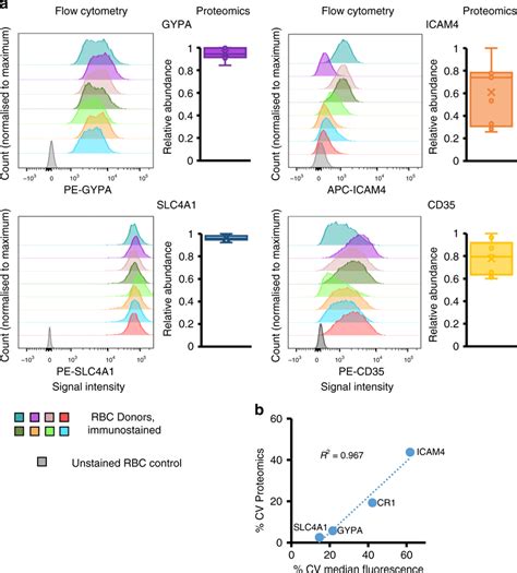 Validation Of Proteomic Assessment Of Expression Of Cell Surface Download Scientific Diagram