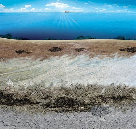 Petrobras Derrame De óleo Na Bacia De Campos Mar Sem Fim