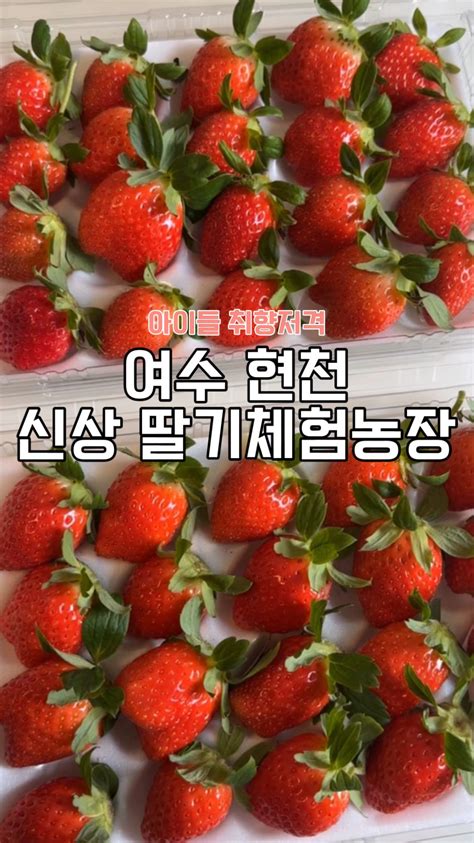 라잇픽 여수맛집 여수카페 여수여행 ⠀ ⠀ ⠀⠀ ⠀ ⠀ ⠀ ⠀ 남천동에 있는 24시 불백 맛집 골목길 인쪽에 있으며 주택을 개조한듯한 식당이었음 메뉴는