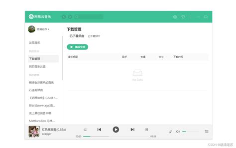 跨平台的第三方网易云播放器radishesradishes音乐播放器 Csdn博客