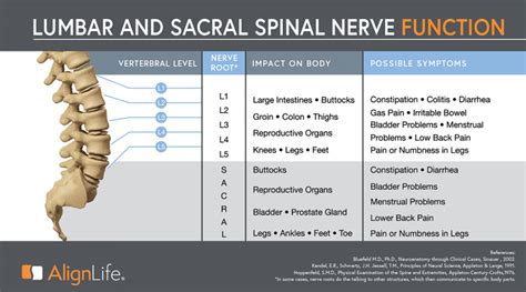 Spine To Symptoms Connecting The Dots To Wellness AlignLife
