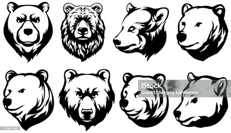 곰의 머리 추상 캐릭터 그림 변형 세트 엠블럼에 대 한 그래픽 로고 디자인 서식 파일입니다 초상화의 이미지입니다 곰에 대한 스톡 벡터 아트 및 기타 이미지 Istock