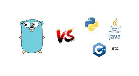 Laadhibi Dheker Sur Linkedin Golang Programmation Développement