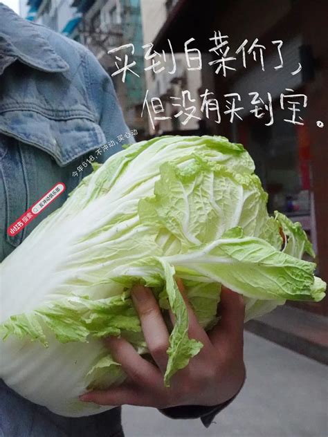这9句618文案，一股清流 运营派