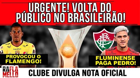 MARTELO BATIDO PÚBLICO LIBERADO NO BRASILEIRÃO JOGADOR PROVOCA O