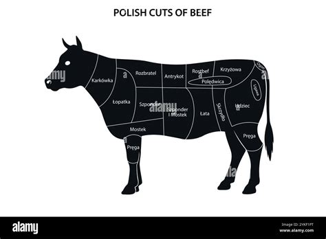 Visual Diagram Of Polish Beef Cuts Labeled On A Cow Silhouette