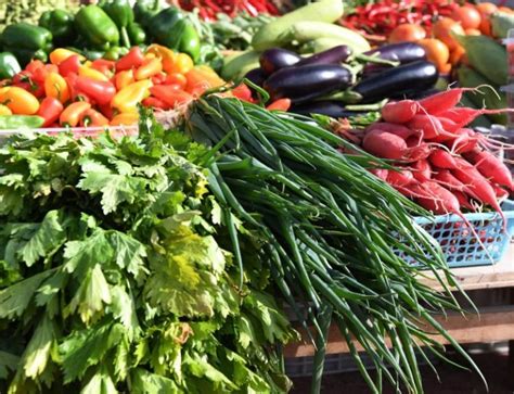 “НАМРЫН НОГООН ӨДРҮҮД ҮНДЭСНИЙ ҮЙЛДВЭРЛЭЛ 2024” болно Delhii Mn