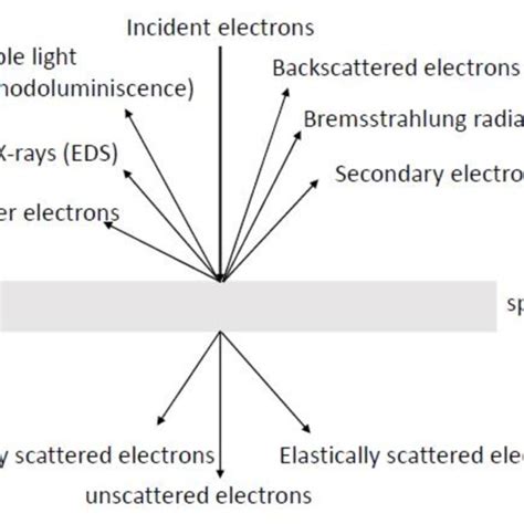 Electron Matter Interaction Download Scientific Diagram