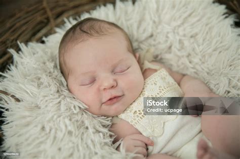 꽃 머리띠 크라운이 달린 크림 색의 중립 배경에 누워 있는 달콤한 신생아 유아 소녀의 클로즈업 1개월에 대한 스톡 사진 및 기타 이미지 Istock