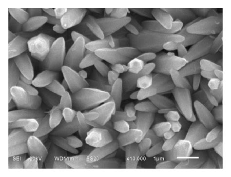 Micrographs Of As Grown ZnO SiO On Glass Substrate Using M NH OH Download Scientific