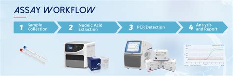 Kit Ph T Hi N A K Nh Axit Nucleic Ct Ng Uu Up