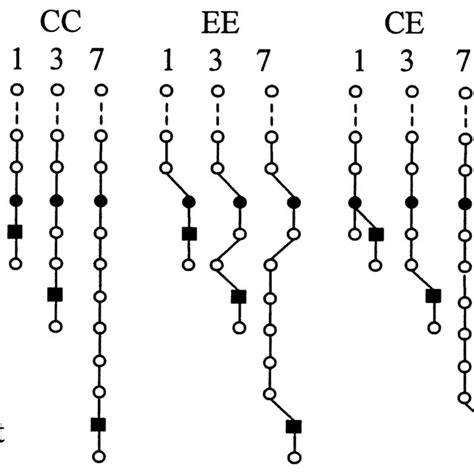 Schematic Representation Of The Stimulus Sequence In Each Condition At