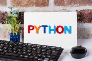 Python Integer