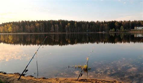 Водоемы Подмосковья - где какую рыбу можно поймать