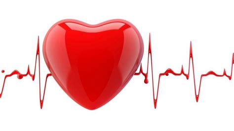 Heart Murmur Innocent Or Serious Kristin Everett Posted On The