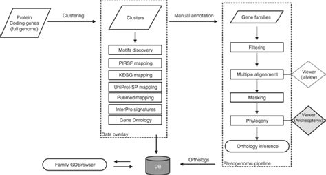 Flowchart Of The GreenPhylDB Analyses The Input File Is A Multi Fasta