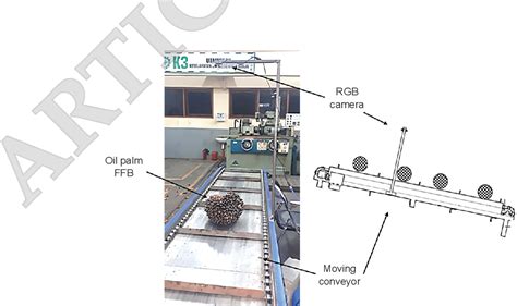 Figure 1 From Counting Of Oil Palm Fresh Fruit Bunches Using Computer Vision Semantic Scholar
