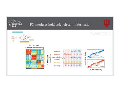 Functional Connectivity Modules In Recurrent Neural Networks Function Origin And Dynamics